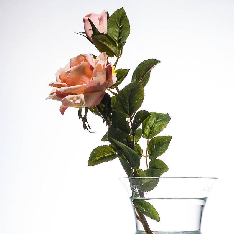 Single Rose Stem/red Rose/blue Rose/purple Rose /blush Rose/wedding ...