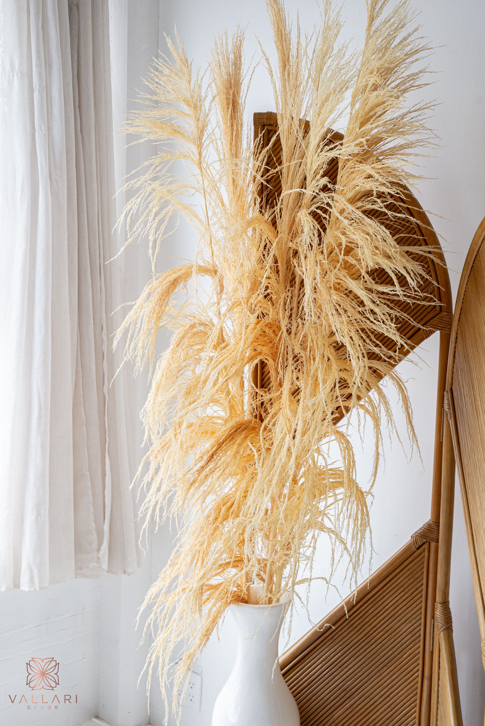 6FT-3 Pc GREEN UVA STALK/Pampas/Natural Stalk/Natural | Etsy