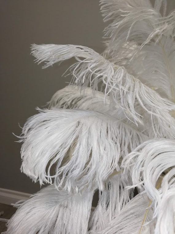 Ostrich feathers centerpieces wholesale store