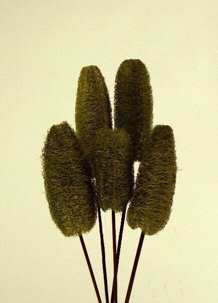 4-6 Luffa Pods on Sticks/branches/centerpiece Decor/ | Etsy