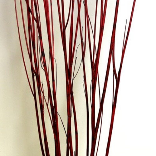 Red Curly Twigs/branches/centerpiece Decor/ Winter - Etsy