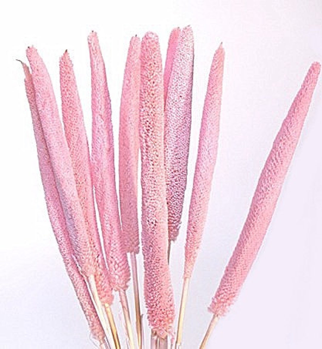 28" Light Pink Babala on Sticks/branches/centerpiece Decor/ Winter ...