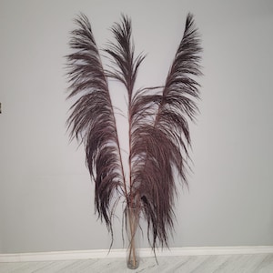 5FT - 3pc Natural UVA Stalk/pampas/natural Stalk/natural Branches ...