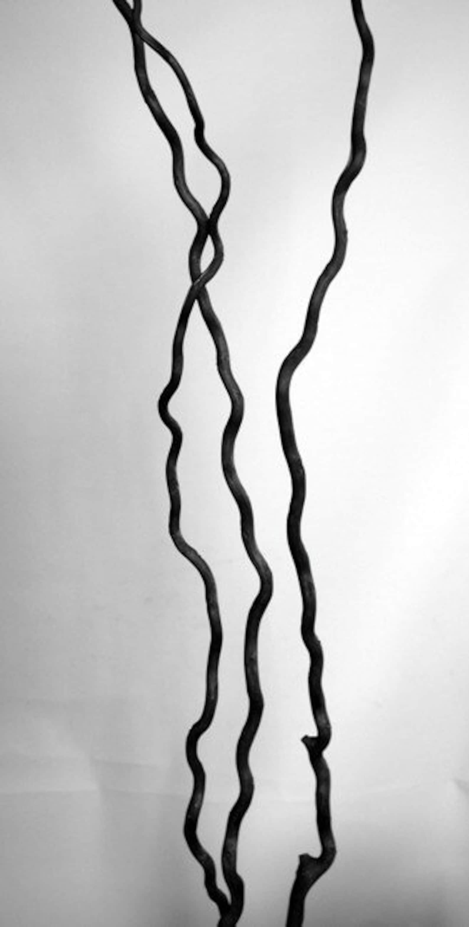 45" Kuwa Poles/3pc/twigs/branches/centerpiece Decor/winter Wonderland ...