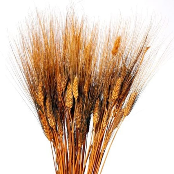 Wheat Bouquet - Etsy