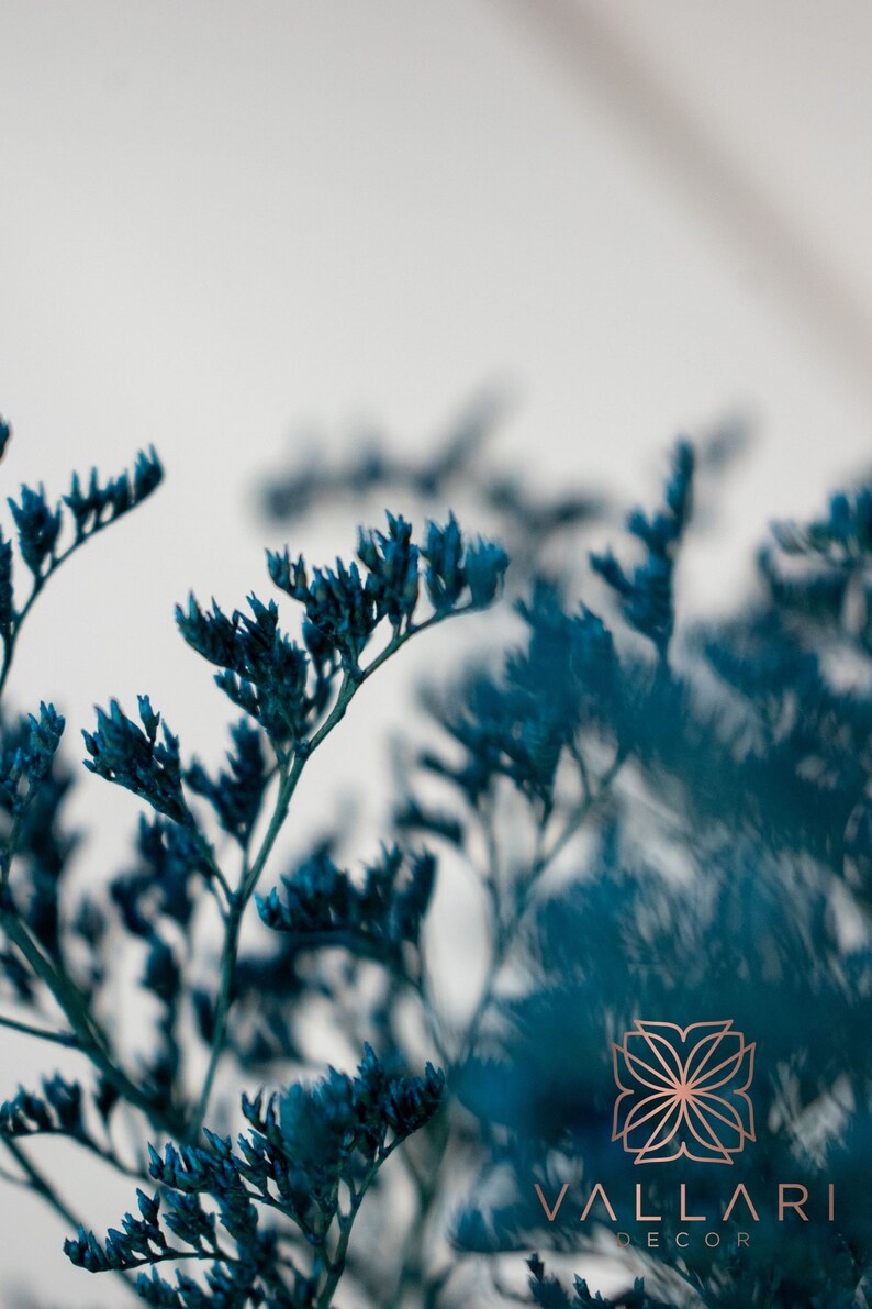 Dark Blue Preserved Caspia/baby - Etsy