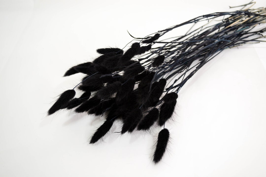 50PC Black Bunny Tails/pampas Bundle/home Decor/rustic Wedding Decor ...