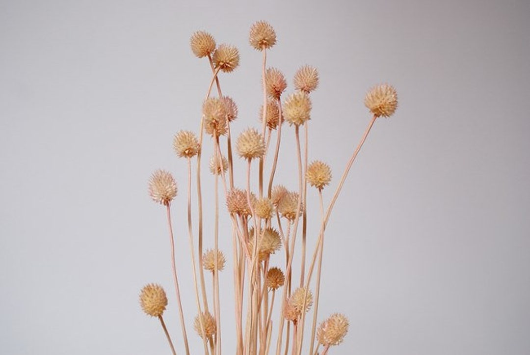 26" Light Pink Ball Flowers/floral Spray/florals/ Wedding/greenery ...