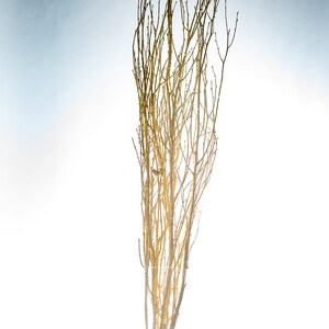 Gold Sparkly /curly Twigs/branches/centerpiece Decor/ Winter Wonderland ...