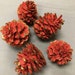 Red Pine Cones /cones/pine Cones on Sticks/rustic Decor | Etsy