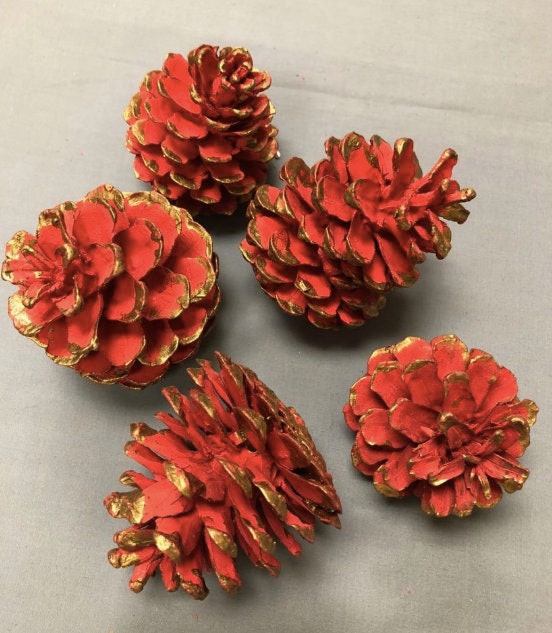 Red Pine Cones /cones/pine Cones on Sticks/rustic Decor Idea/rustic ...
