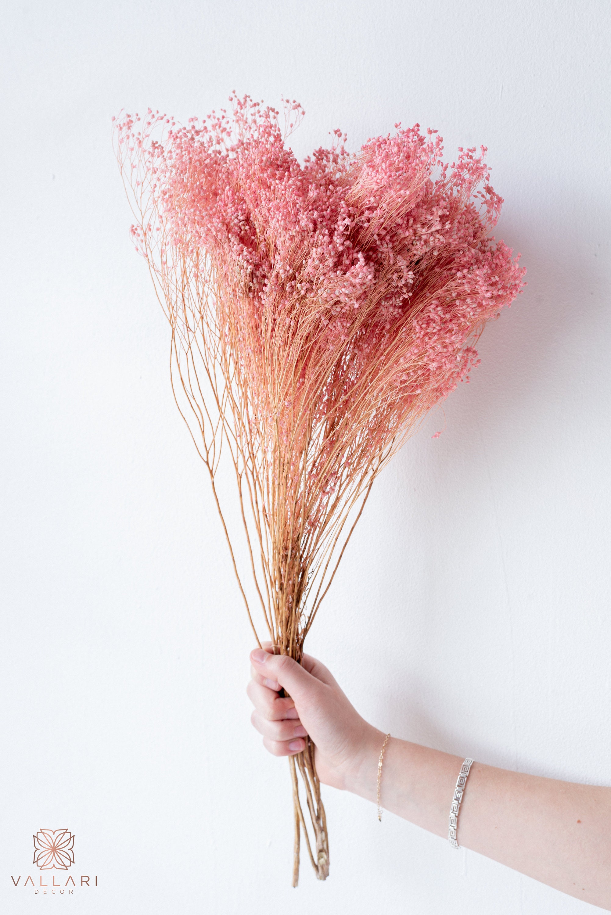 17" Dried Natural Broom Bloom/fall/thanksgiving/table Setting/home ...