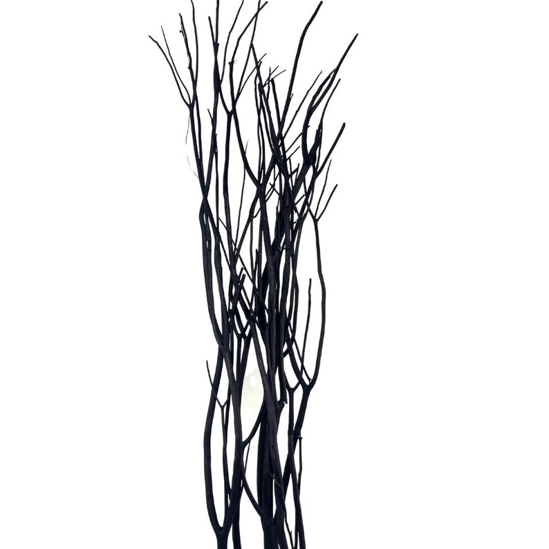 4FT Black Mitsumata Sticks/3pc/twigs/branches/centerpiece Decor/winter ...