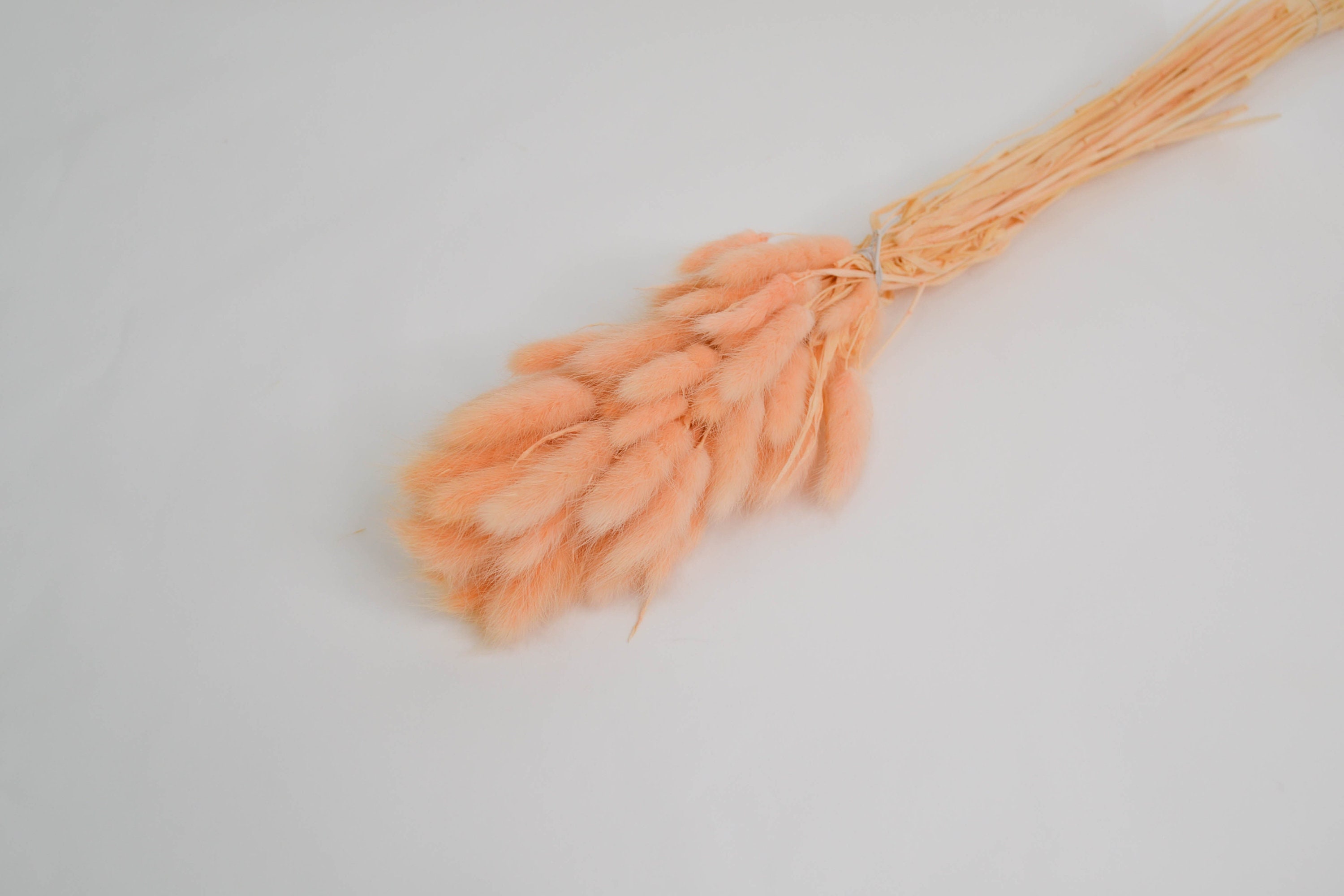 50 Piece IVORY BUNNY TAILS/ Pampas Bundle/home Decor/ Rustic - Etsy Canada