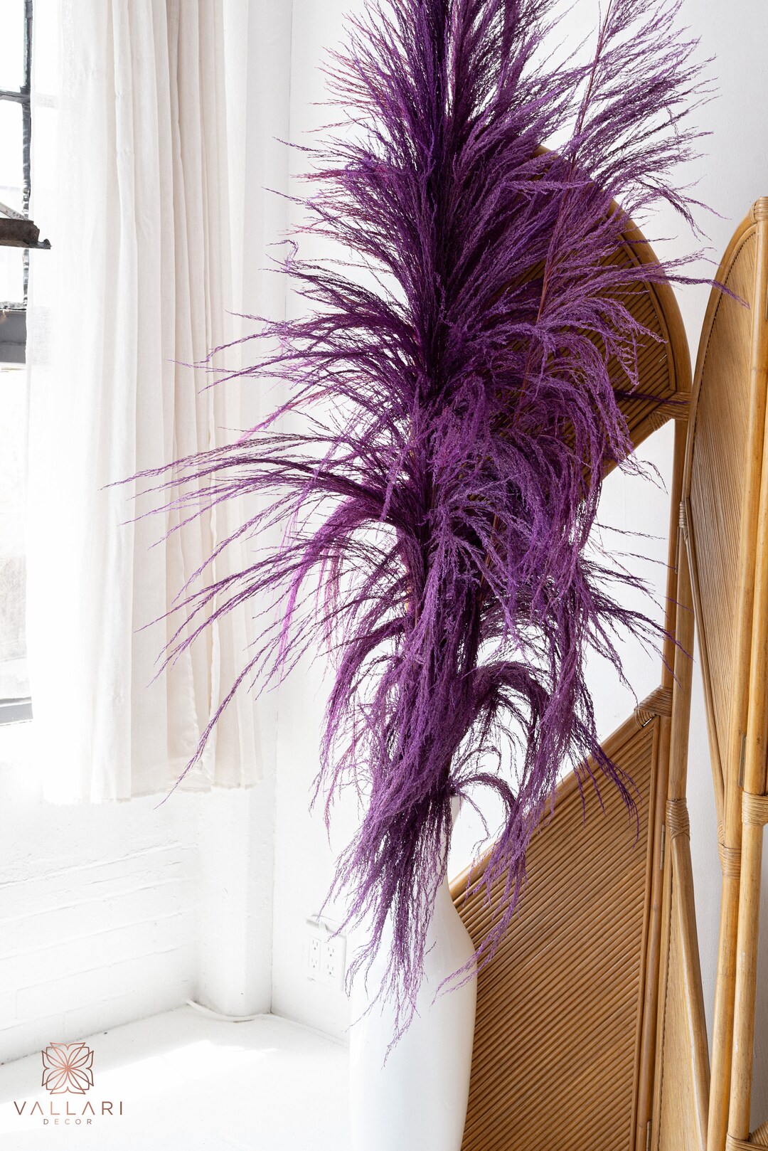 5FT -3pc AUBERGINE UVA Stalk/pampas/natural Stalk/natural Branches ...