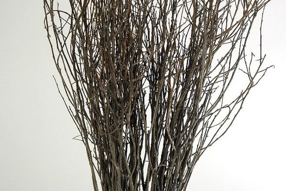 Floral Arrangements Home & Living Dried Flower Arrangements 20 Natural ...