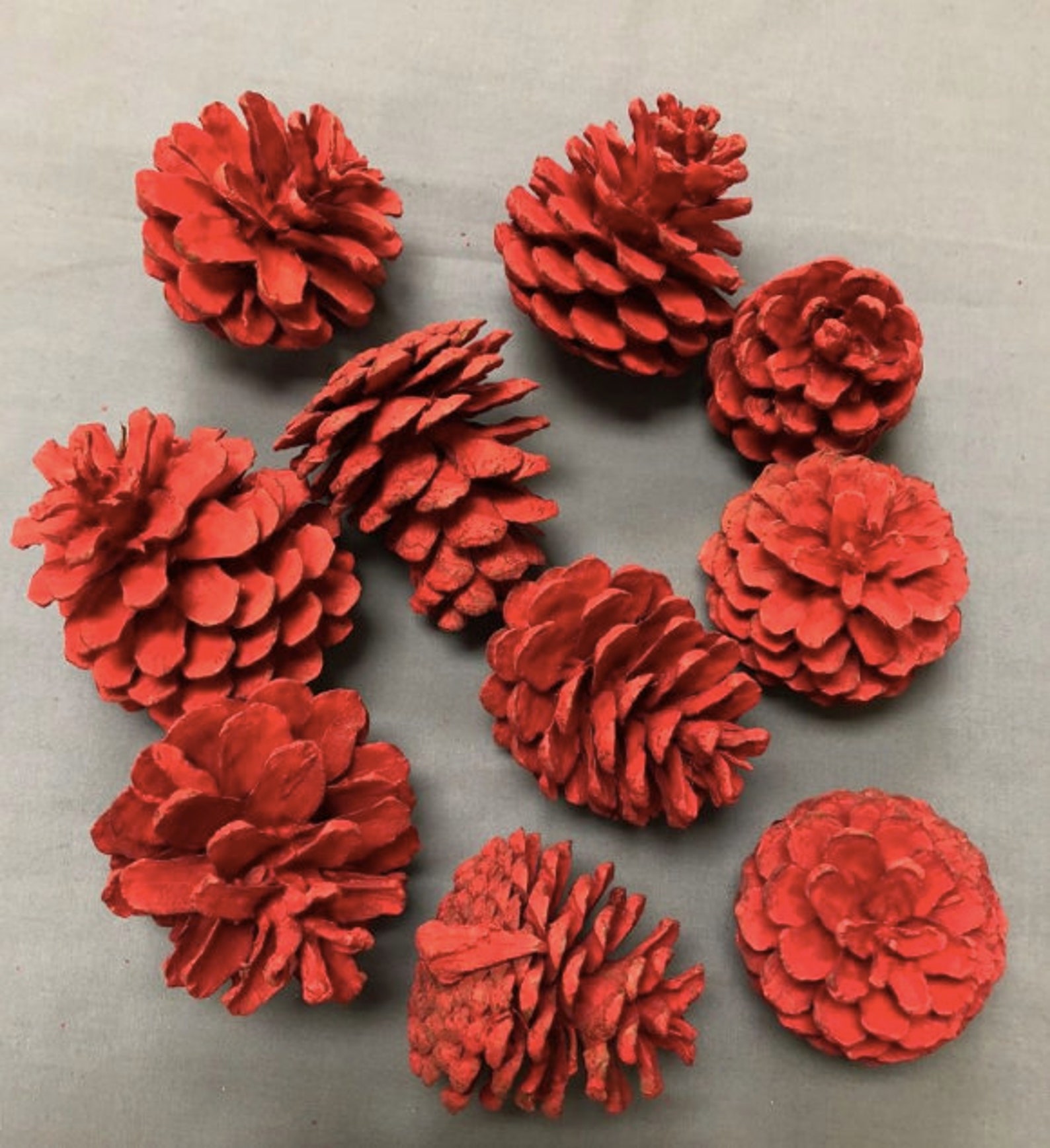 Red Pine Cones /cones/pine Cones on Sticks/rustic Decor Idea/rustic ...