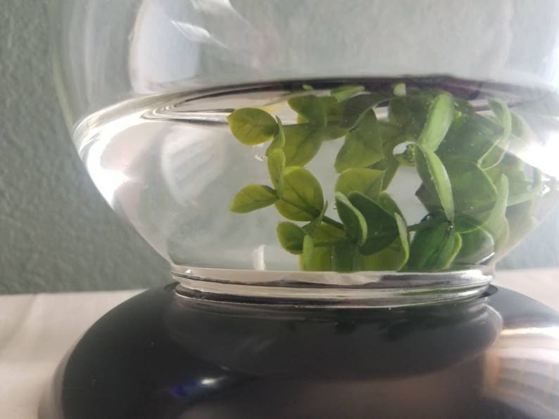 Vintage Lewis P Weil GLASS GLOBE Display - Etsy