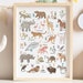 Animal Alphabet, Animal ABC Poster, Classroom Decor, Educational Art ...
