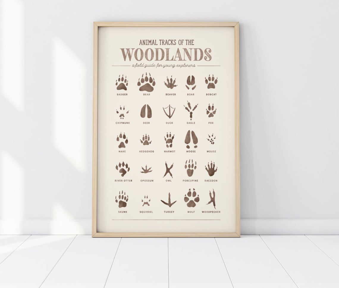 Animal Tracks Print Woodland Animal Prints Poster Woodland - Etsy