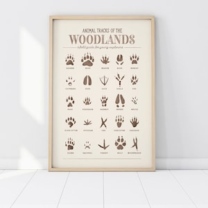 Animal Tracks Print, Woodland Animal Prints Poster, Woodland Nursery ...