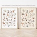 Woodland Alphabet Poster Woodland Alphabet Print Woodland - Etsy