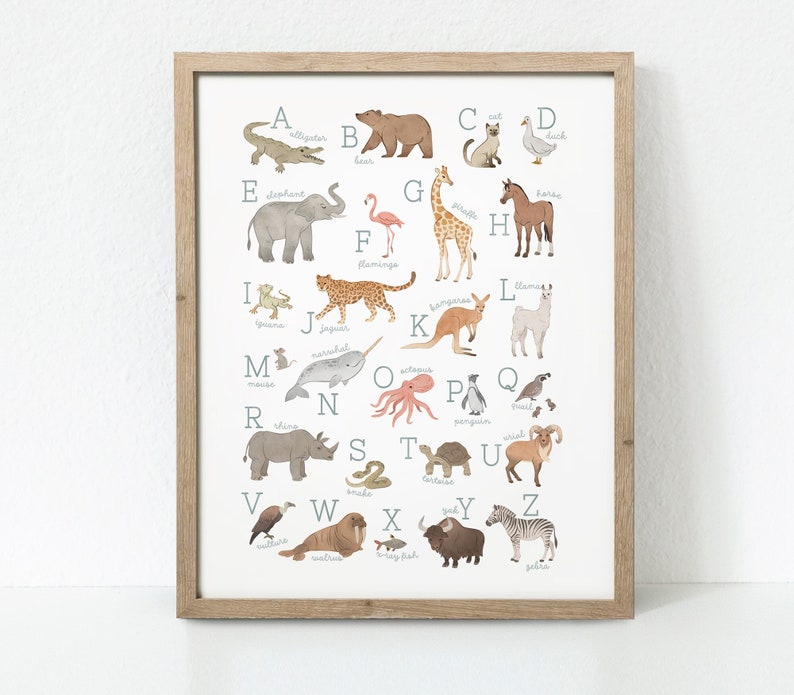 Animal Alphabet Animal ABC Poster Classroom Decor - Etsy