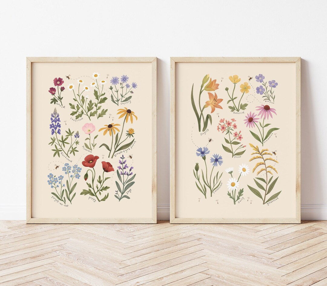 Wildflower Print Set, Wildflowers Art, Educational Poster, Wildflower ...