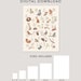Woodland Alphabet Poster, Woodland Alphabet Print, Woodland Nursery ...