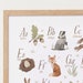 Woodland Alphabet Poster, Woodland Alphabet Print, Woodland Nursery ...