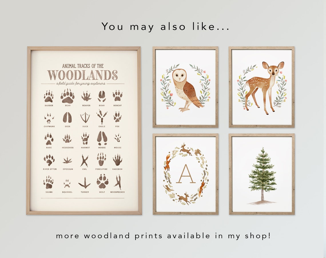 Horizontal Woodland Alphabet Poster Landscape Woodland - Etsy