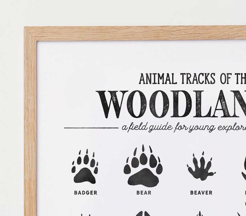 Animal Tracks Print Woodland Animal Prints Poster Woodland - Etsy