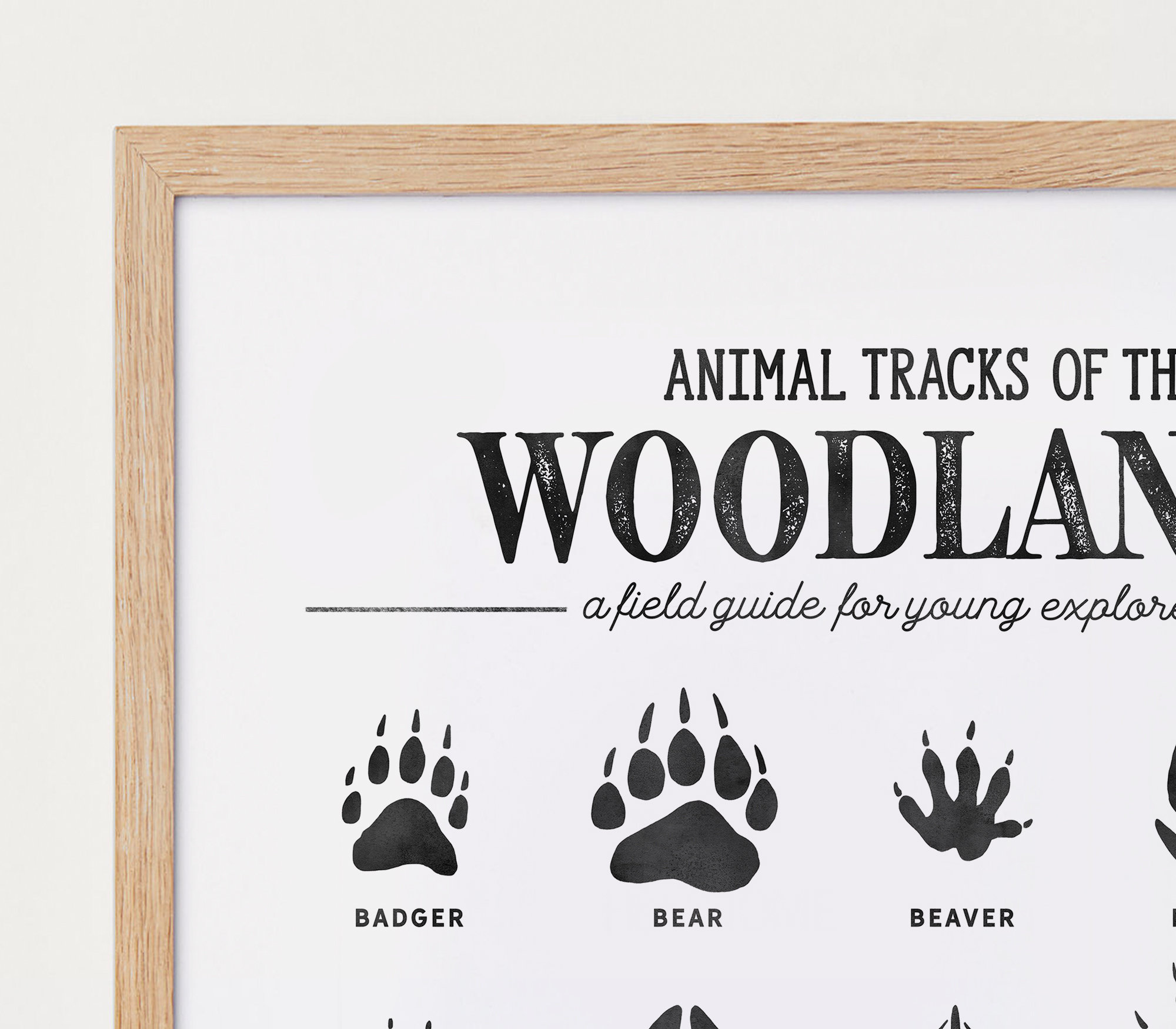 Animal Tracks Print, Woodland Animal Prints Poster, Woodland Nursery ...