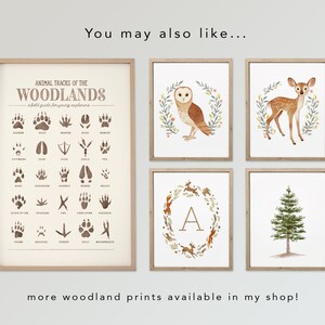 Woodland 123 Poster, Woodland Numbers Print, Woodland Nursery ...
