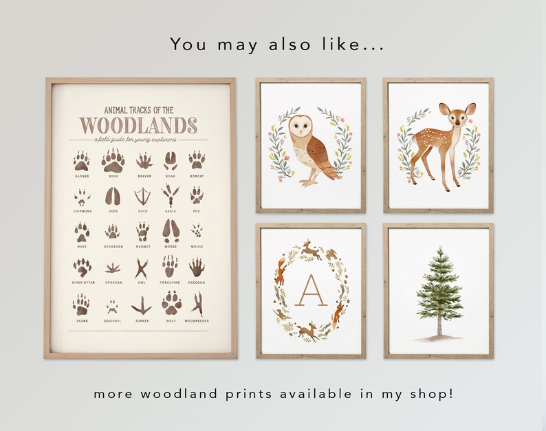 Woodland 123 Poster Woodland Numbers Print Woodland Nursery - Etsy Canada