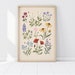 Wildflower Print Set, Wildflowers Art, Educational Poster, Wildflower ...