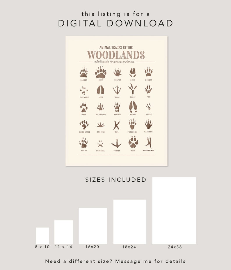Animal Tracks Print Woodland Animal Prints Poster Woodland - Etsy