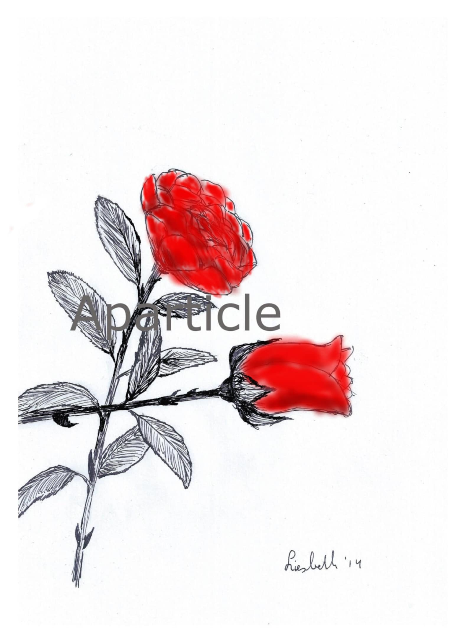 Direct Download Drawing / Two Red Roses / Digital Art / Fine Art ...