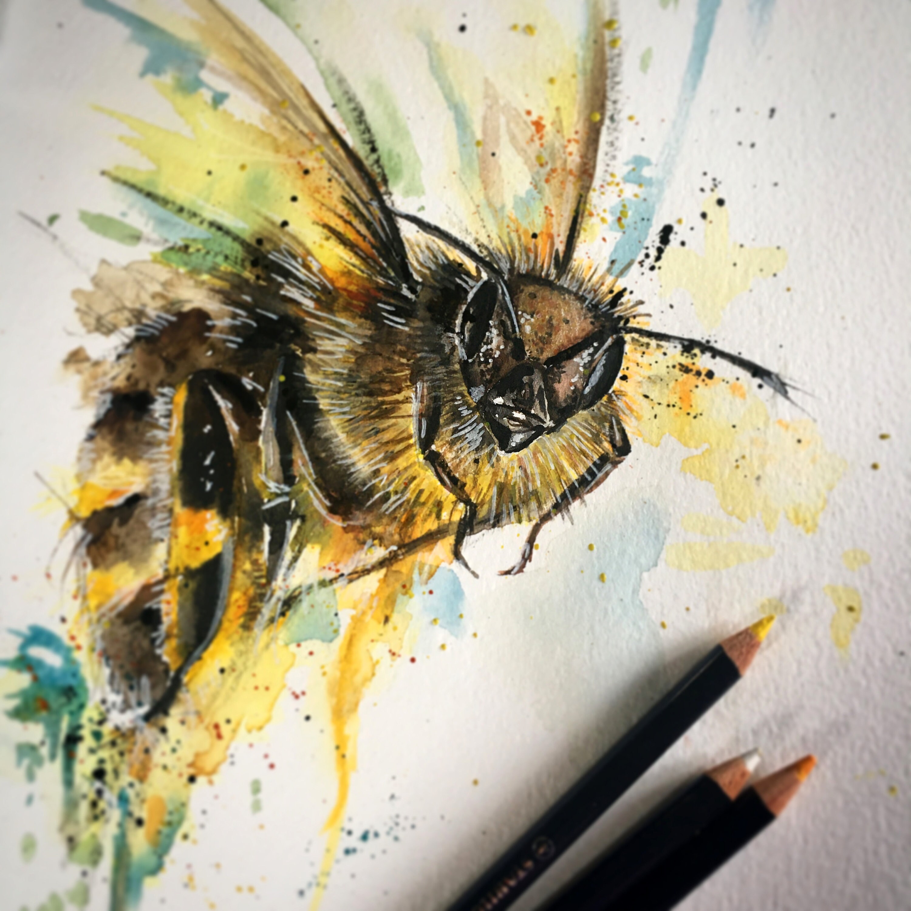 Curious Bee Fine Art Giclée Watercolour Print bee | Etsy