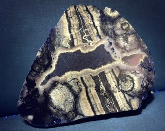 Home Décor Spherulite Cristobalite balls in Obsidian Monterey Fm ...