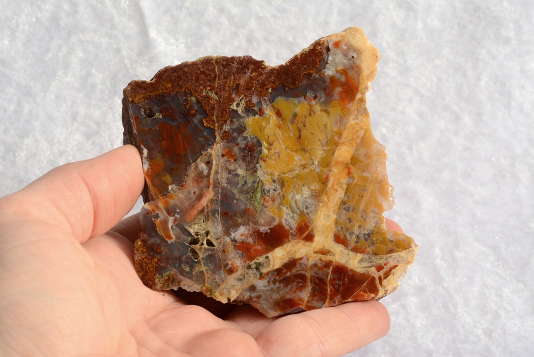Scottish BURN ANNE AGATE Vein Crystal Mineral Rock Stone Gem Lapidary ...