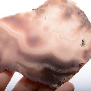 MENDIP DULCOTE AGATE Potato Stone Fluorescent Polished Slice Mineral ...