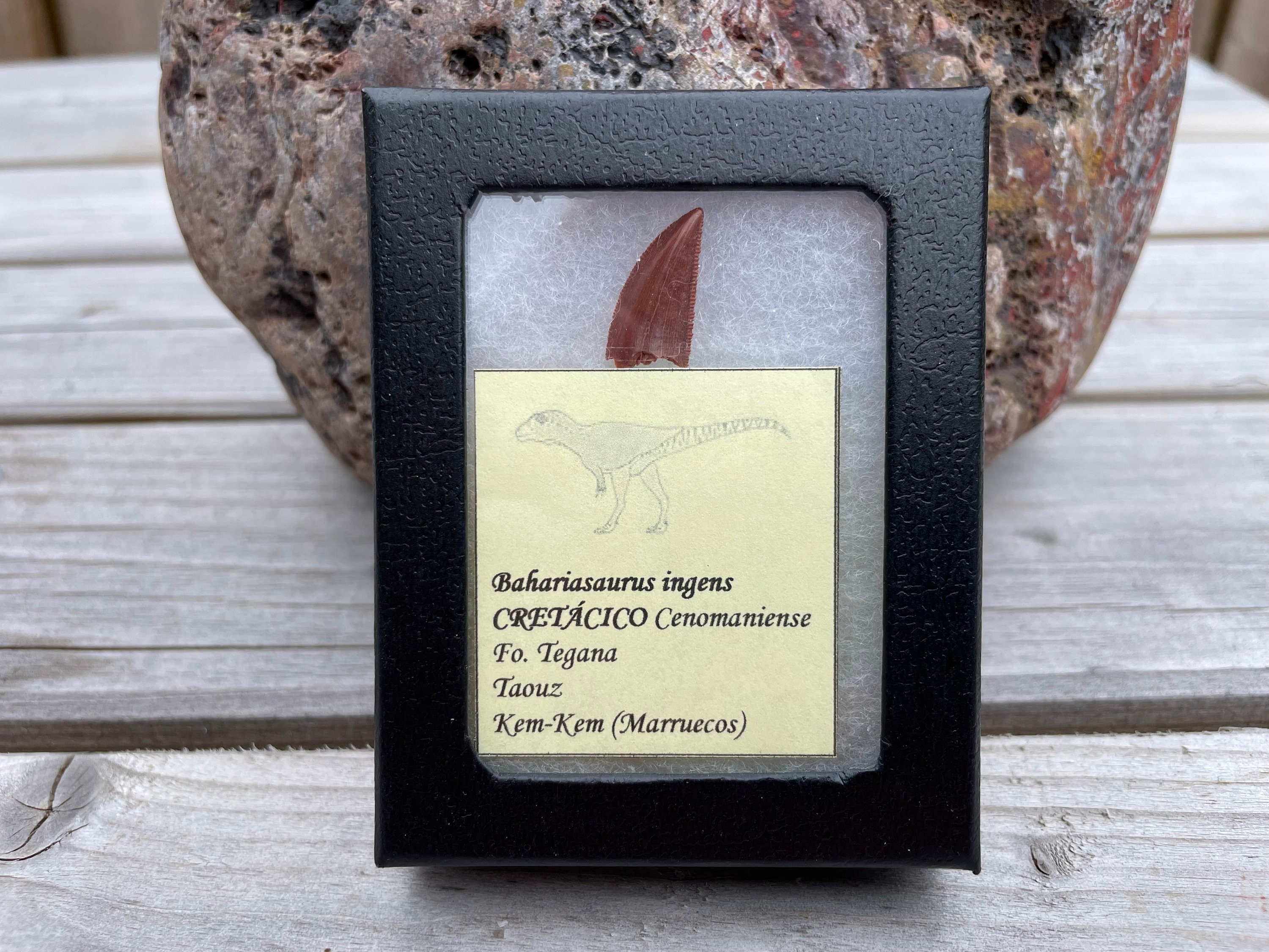 Bahariasaurus Dinosaur