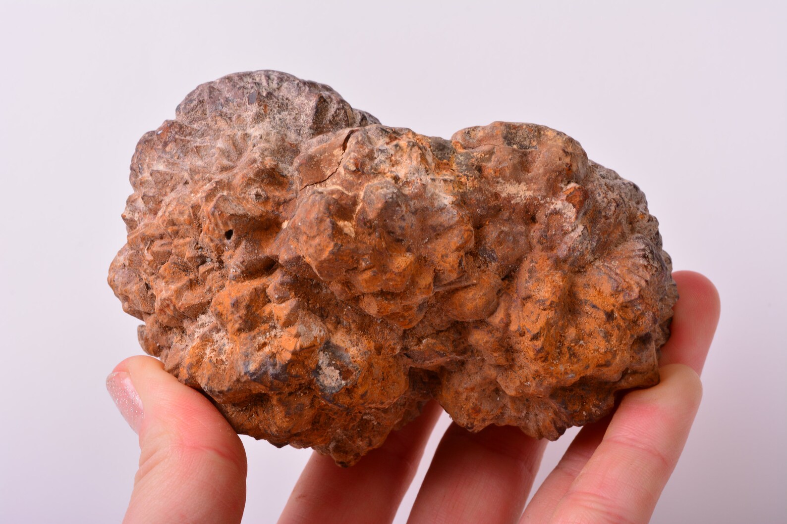 English MARCASITE NODULE Concretion Crystal Mineral Dover | Etsy