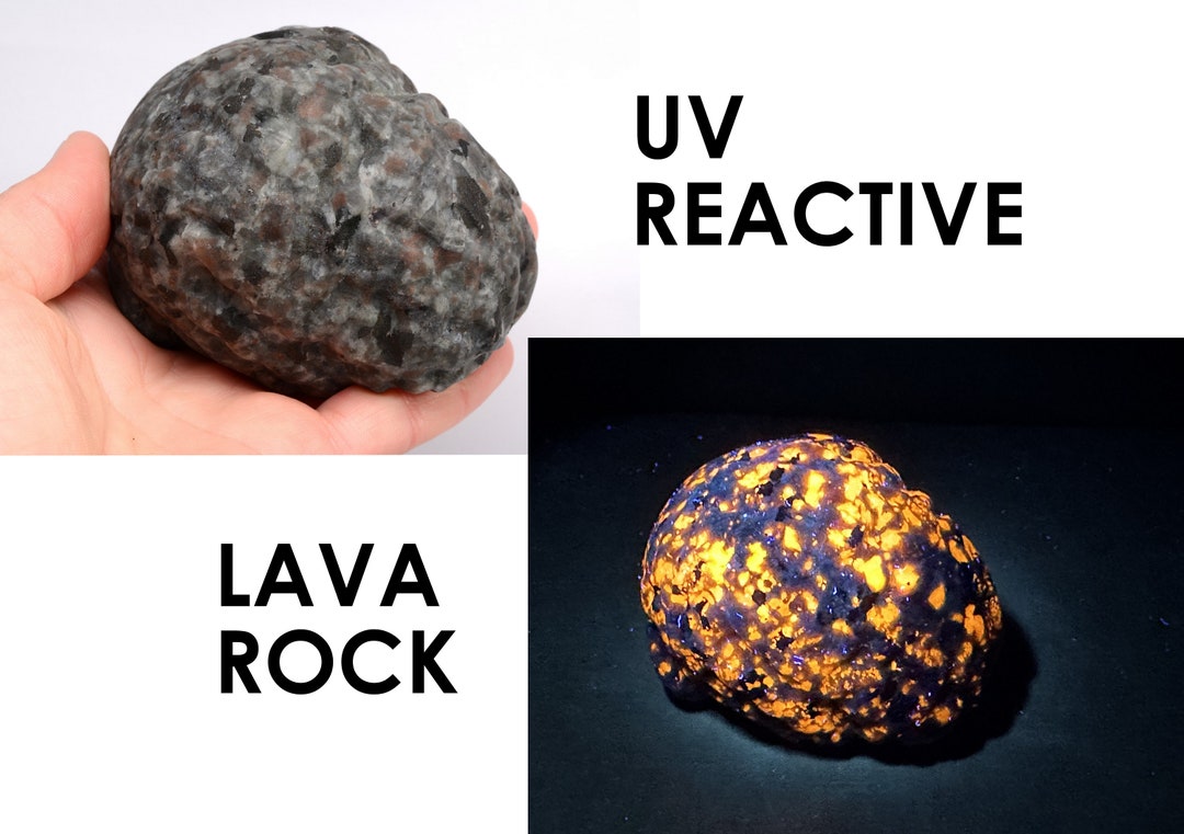 LAVA STONE BRAIN Carving Super Bright Fluorescent Uv Sodalite Foyalite ...