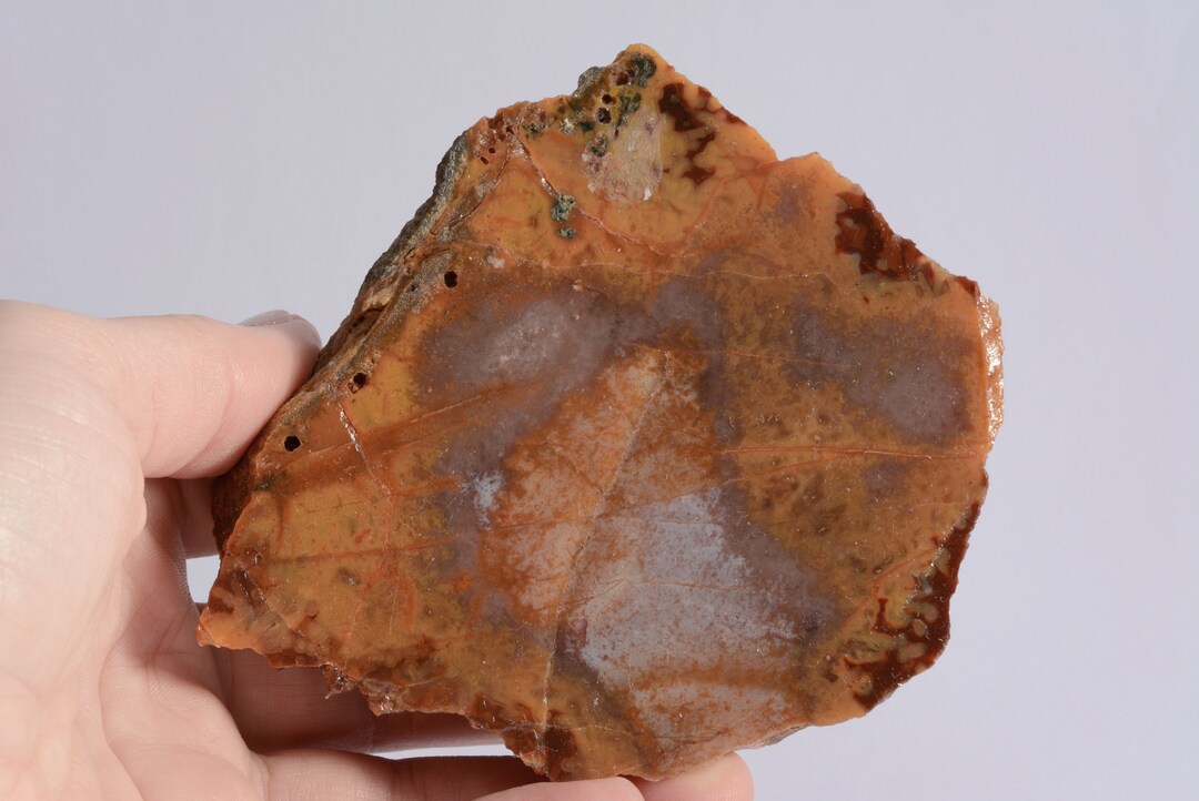 Scottish JASP AGATE Burn Anne Vein Orange Crystal Mineral Rock Stone ...
