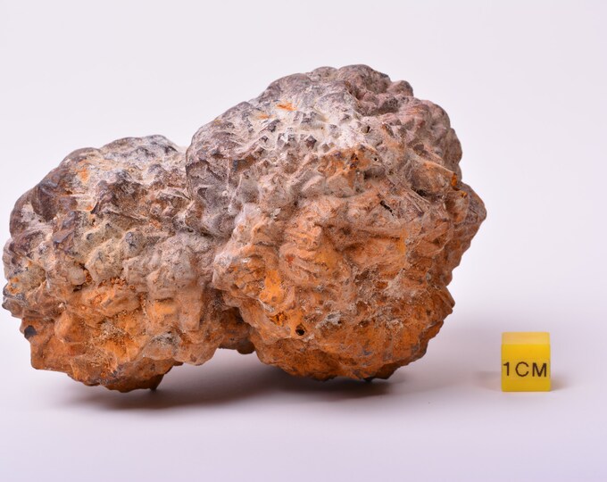 English MARCASITE NODULE Concretion Crystal Mineral Dover England UK ...