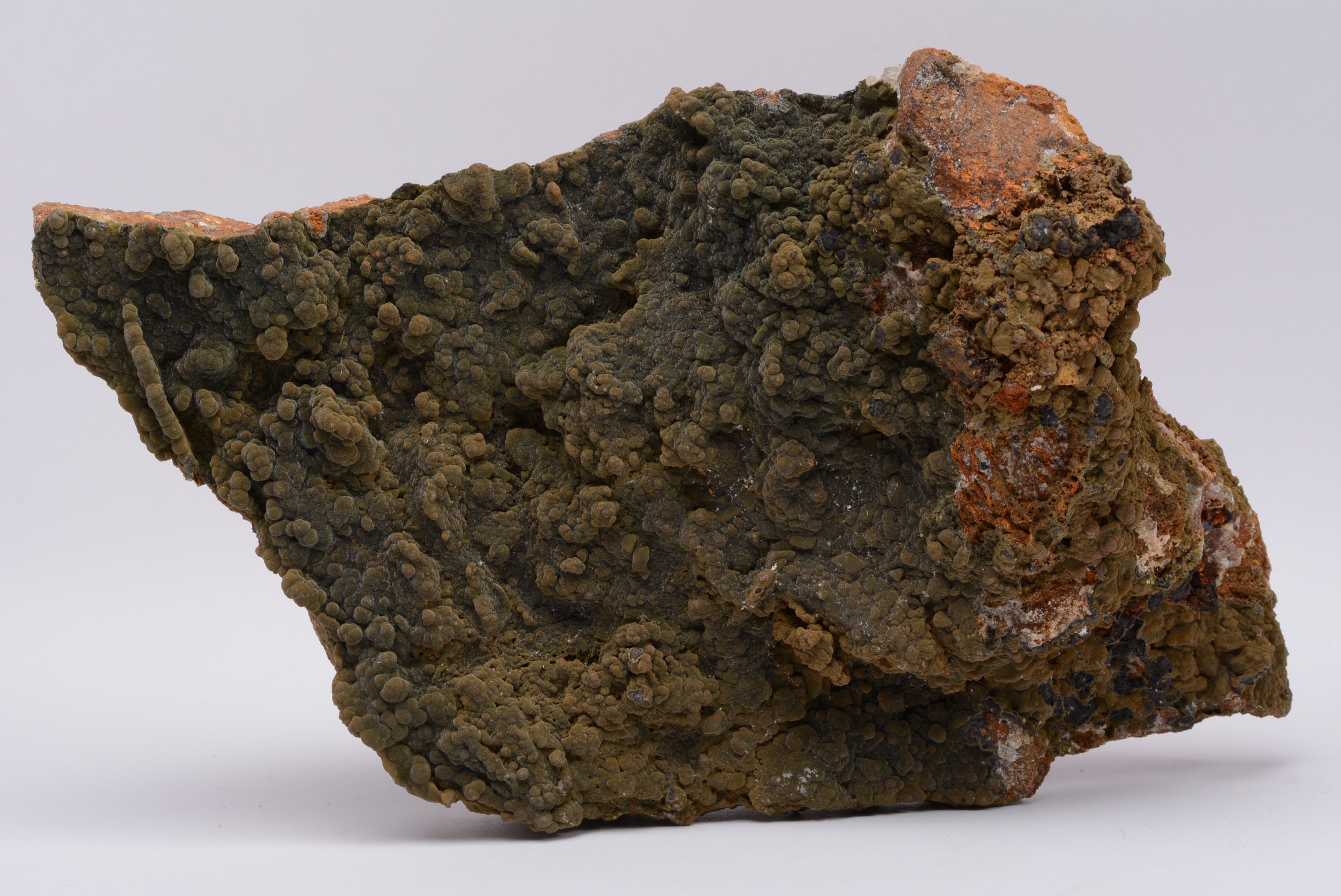 MotTRAMITE raro con LIMONITE Botryoidal Rough Mineral Crystal - Etsy España