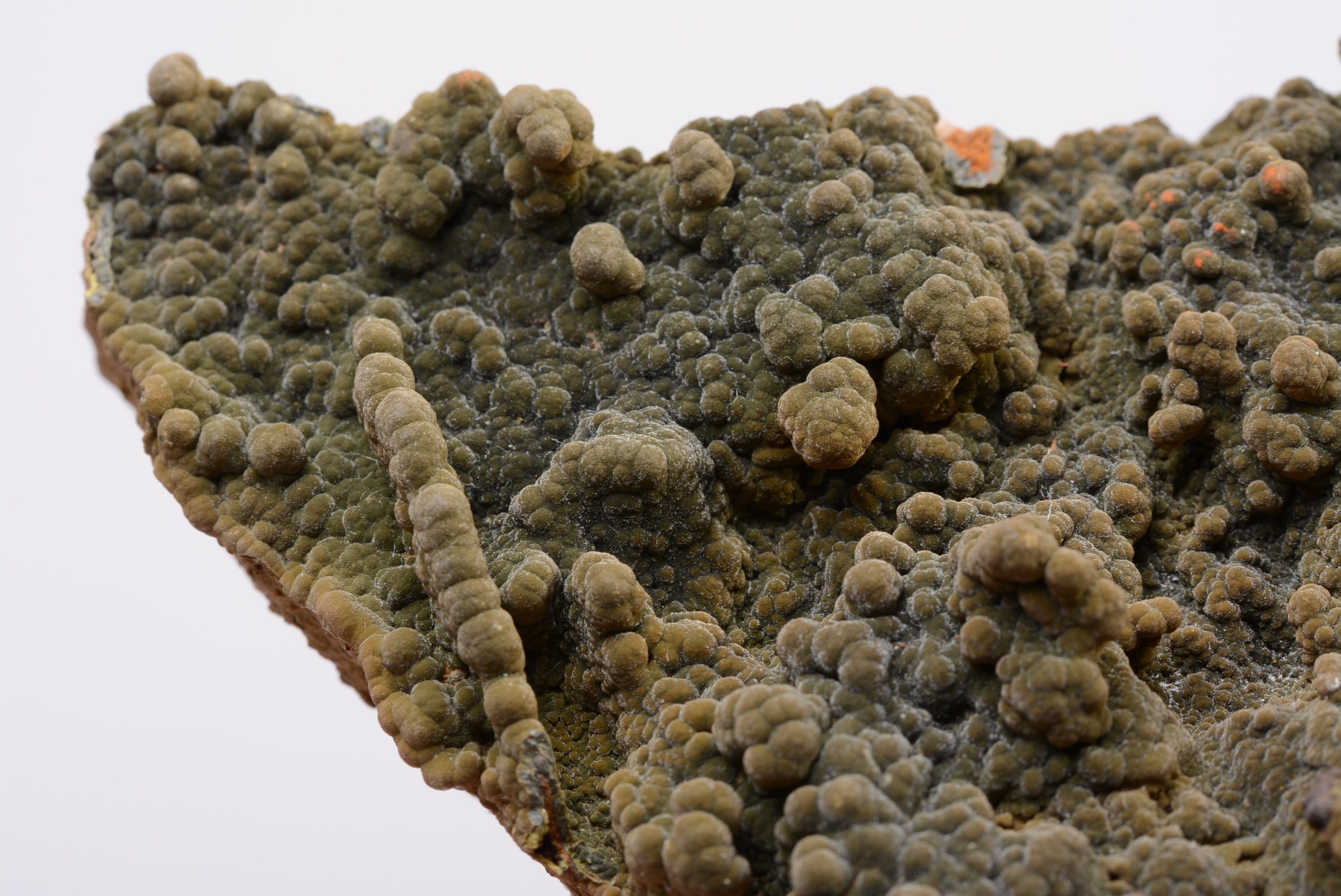 MotTRAMITE raro con LIMONITE Botryoidal Rough Mineral Crystal | Etsy