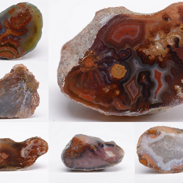 Sagenite Agate - Etsy